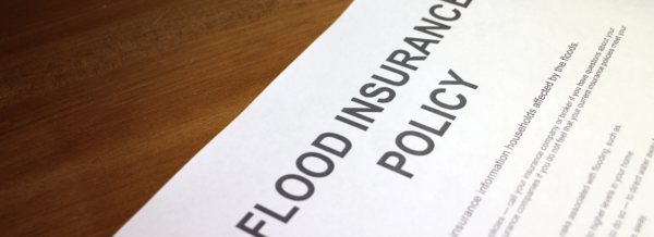 What Is Flood Insurance? | Hall Financial